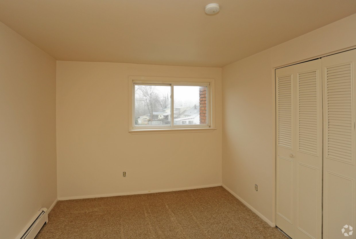 Pine Tree | Meridia Living | Syracuse, NY