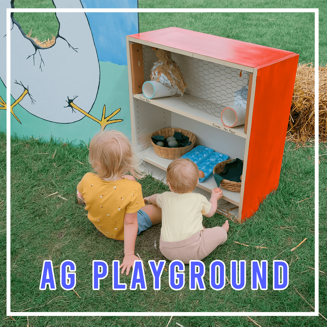 Midway Area | Houston County Fair