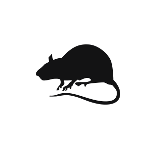 Pest Control Service | Athens, AL | Terminator Pest Control