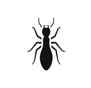 Pest Control Service | Athens, AL | Terminator Pest Control
