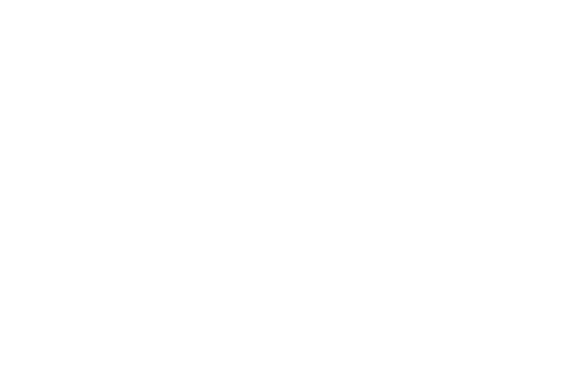 Meet The Team | Boston Independence Group