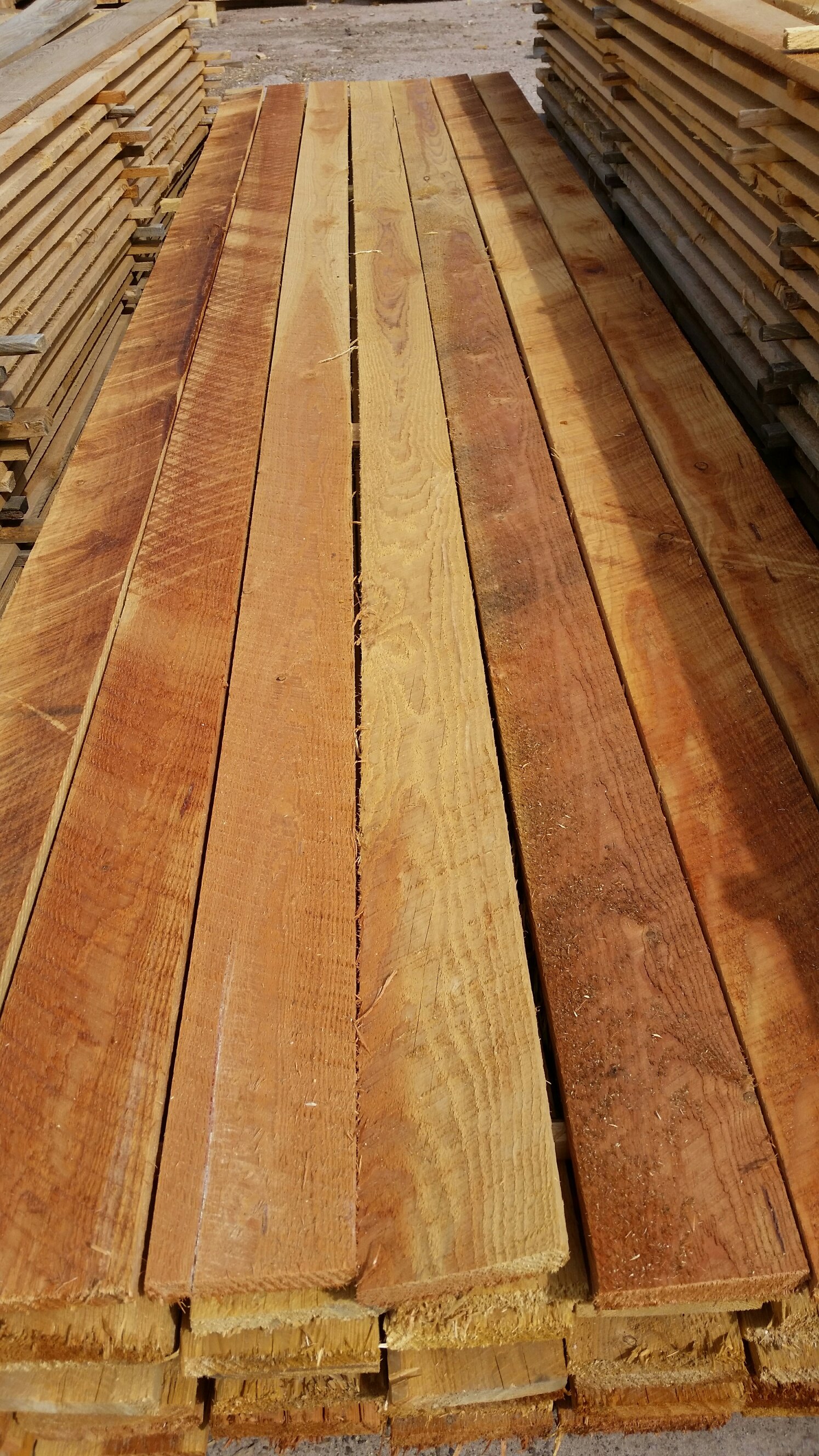 Vigas Beams | Jemez Pueblo, NM | +1-575-834-0204