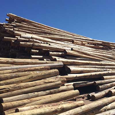Vigas Beams | Jemez Pueblo, NM | +1-575-834-0204