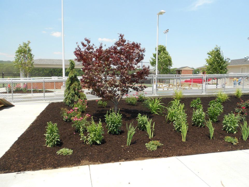 Local Garden Center – Fairfield, OH – Lakeview Garden Center