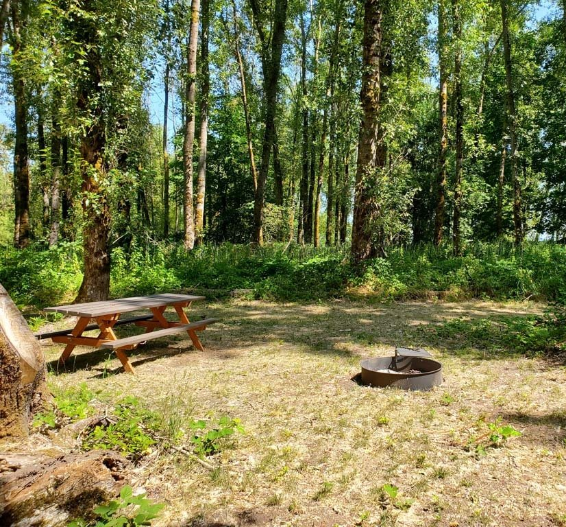 Campground | Beautiful Campsite in Oregon