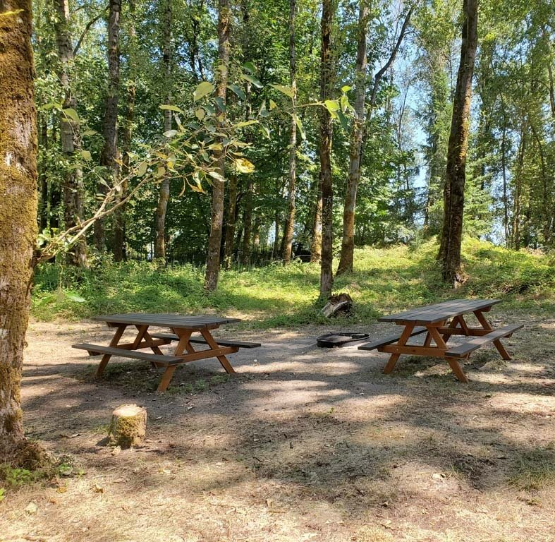 Campground | Beautiful Campsite in Oregon