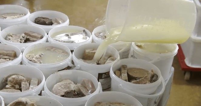 アイスランドに行ったらぜひ試してみたい料理！冬の伝統的な保存食の宴 Þorrablót（ソーラブロゥト）