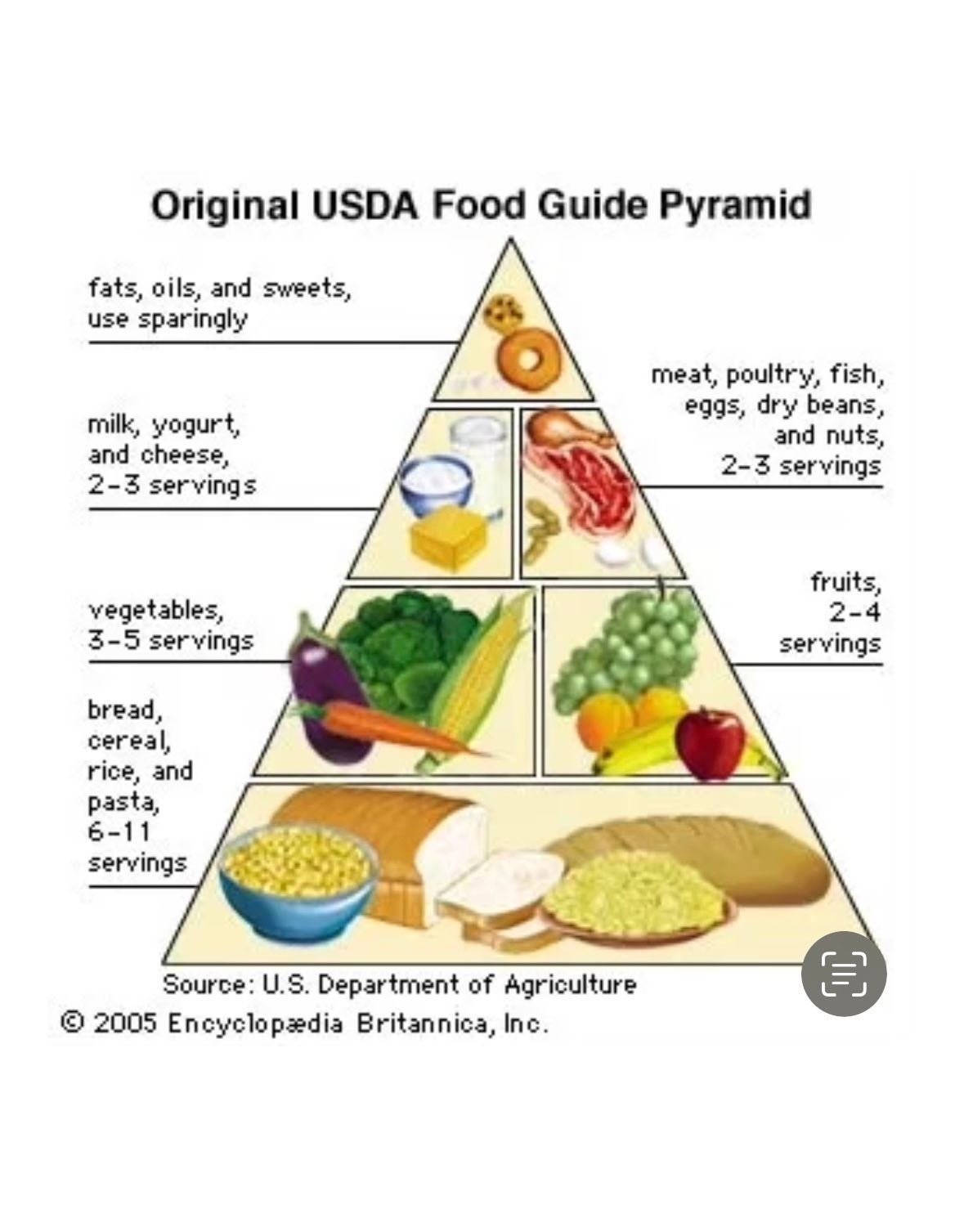 The Myth About Fats: Debunking Decades of Dietary Misinformation