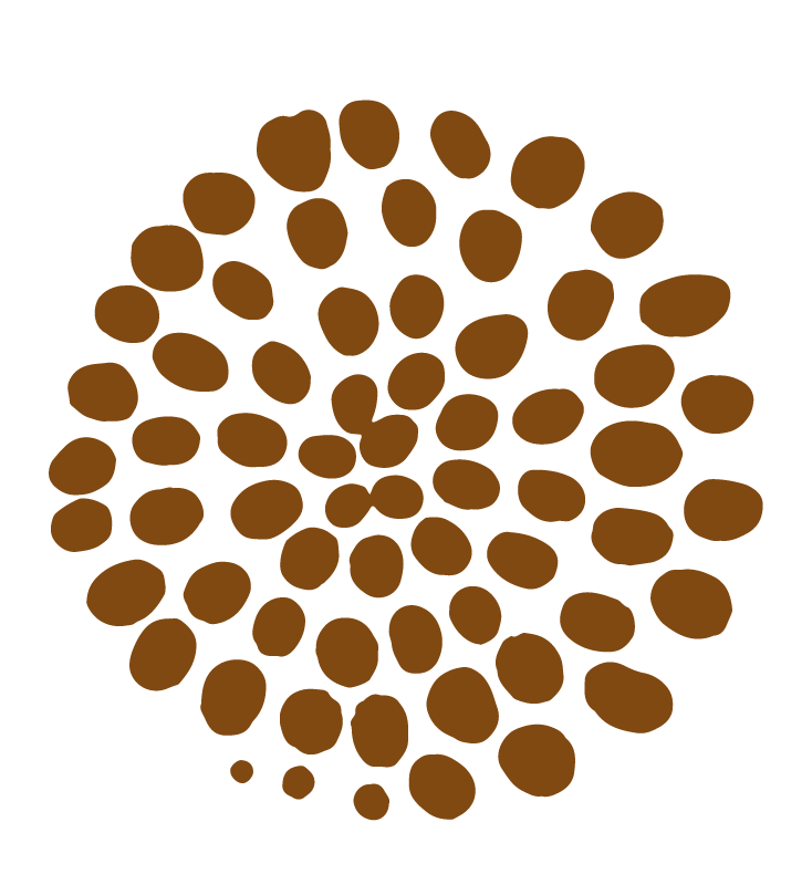 KUKU Kanvas | Custom Canvas Workshop in Hoedspruit