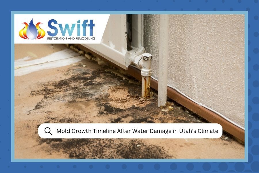 Mold Growth Timeline After Water Damage in Utah's Climate