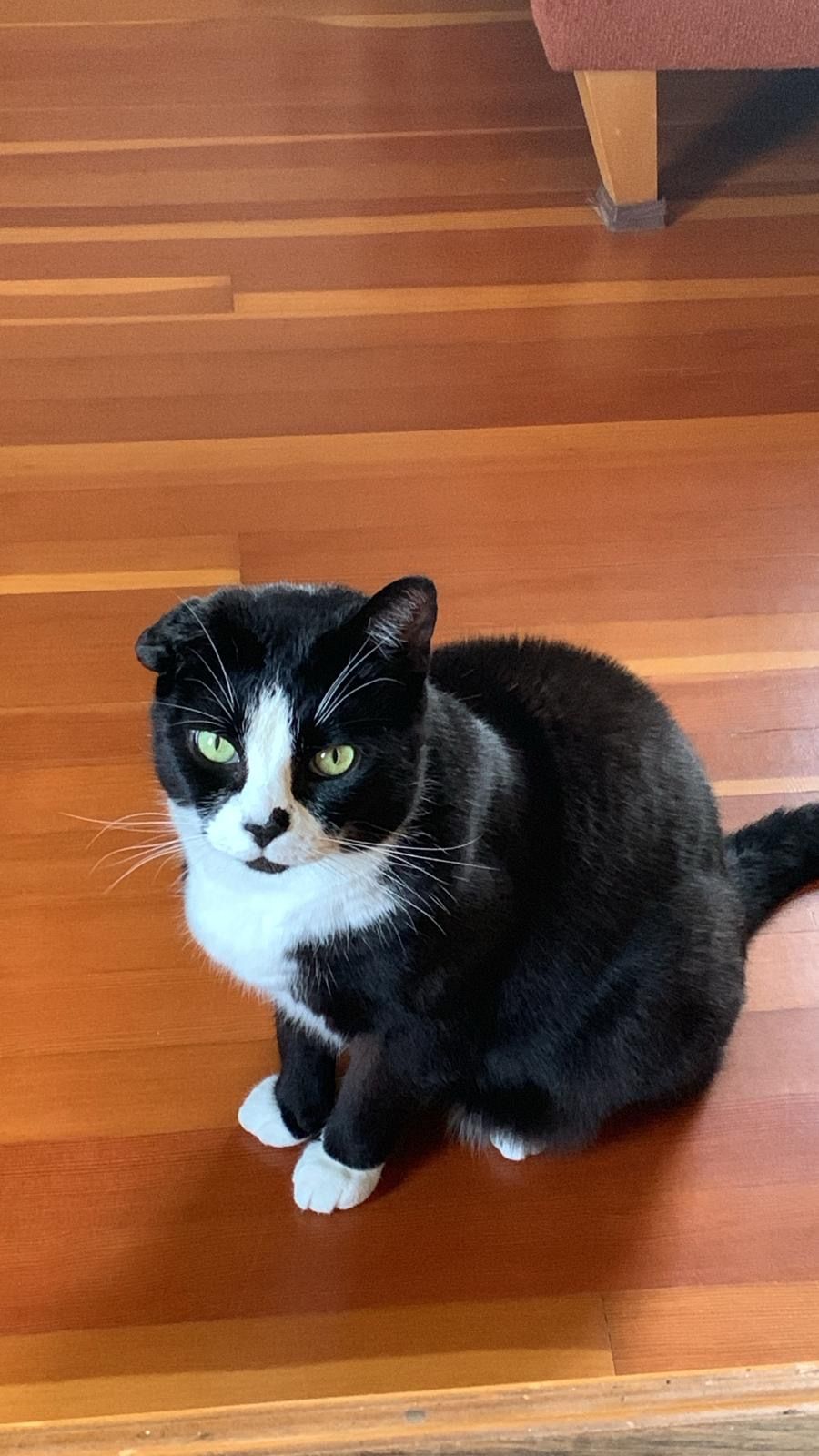 LGMA 2024 - Year in Review