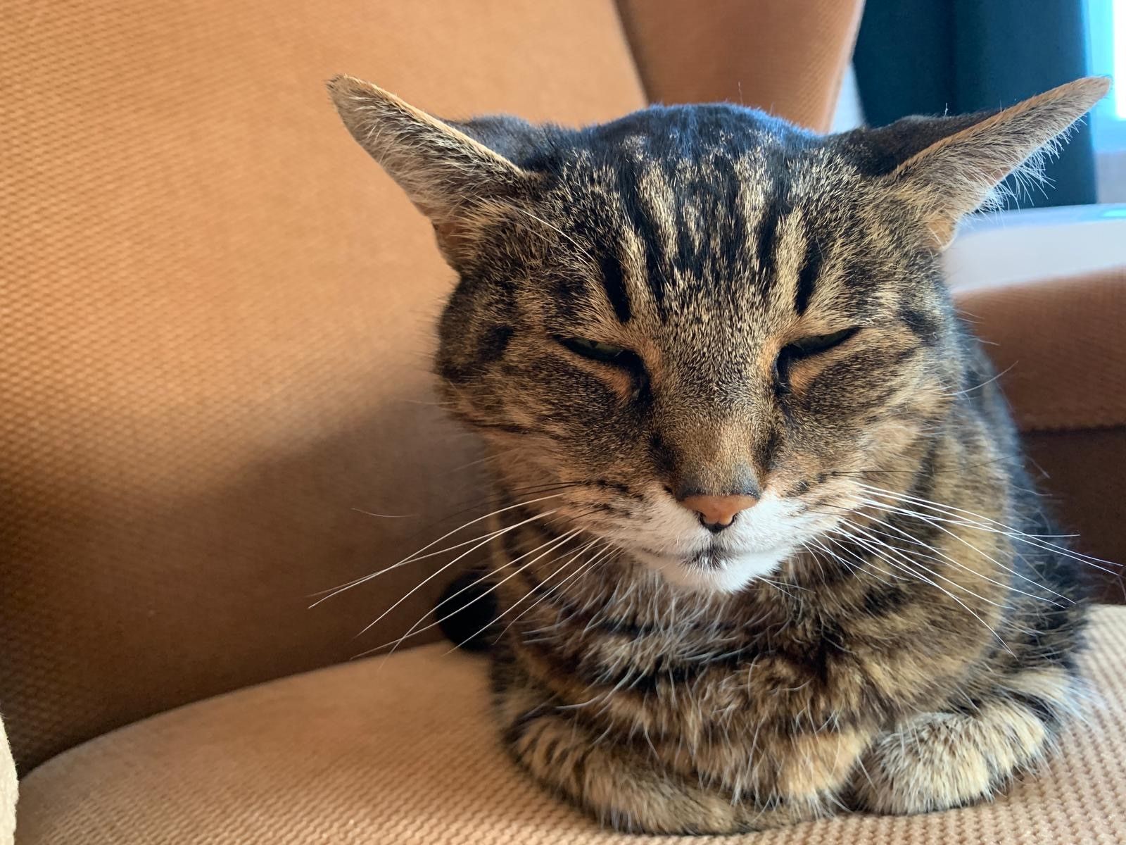 LGMA 2024 - Year in Review