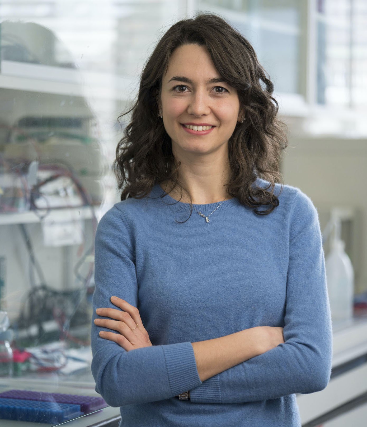 Centro Caboto Centre, Italian Canadian Centre