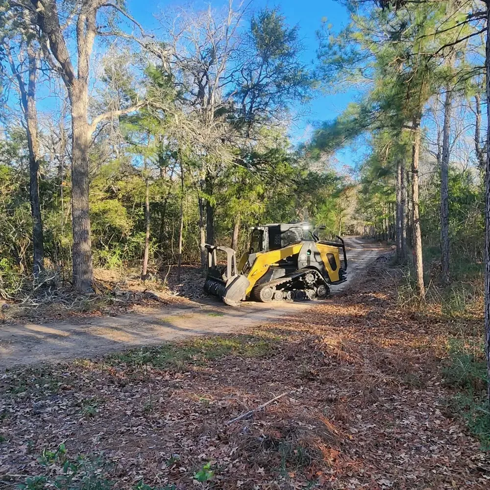 Forestry Mulching | Shuffield Land Clearing