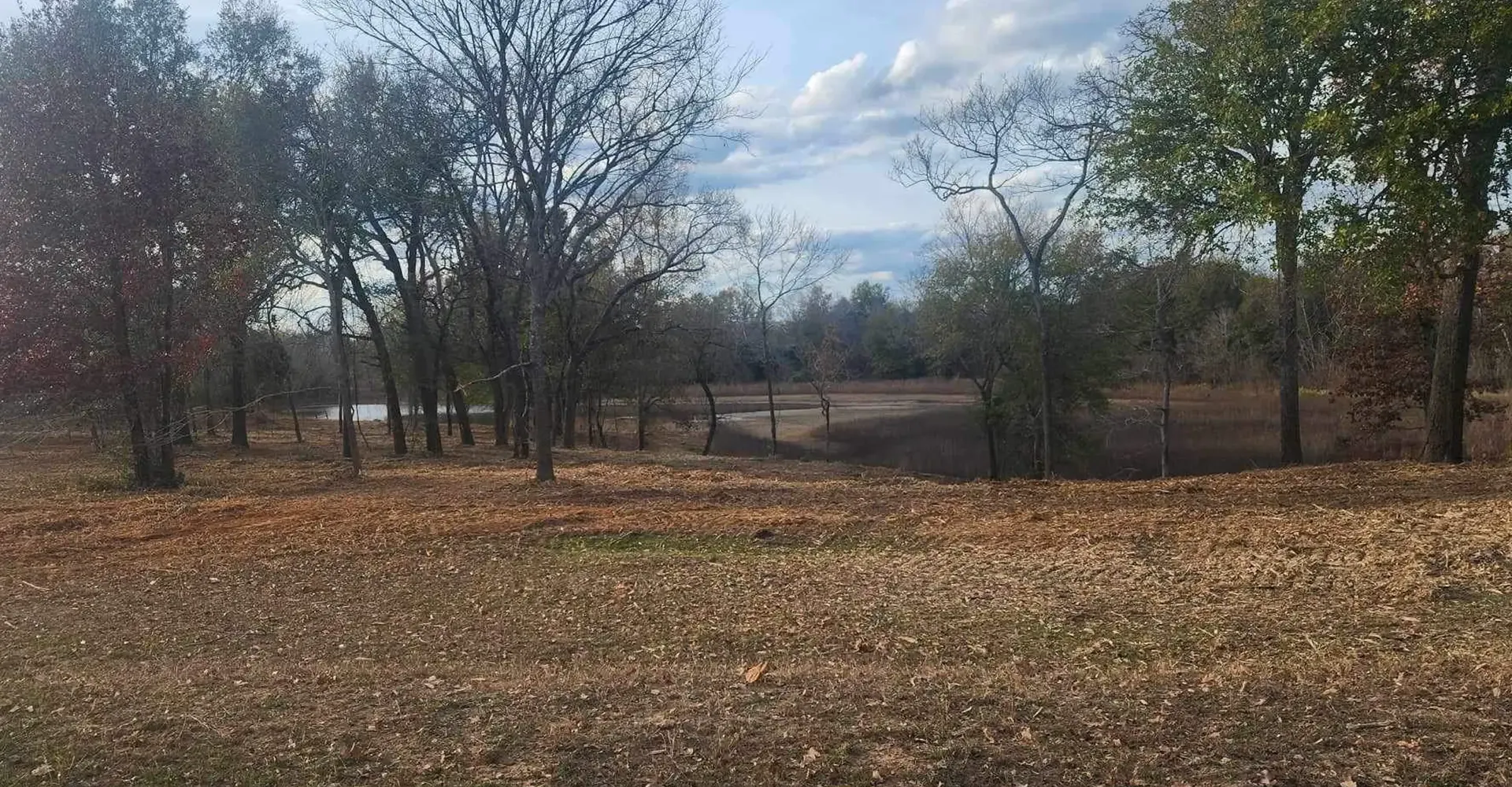 Land Clearing Gause TX | Shuffield Land Clearing
