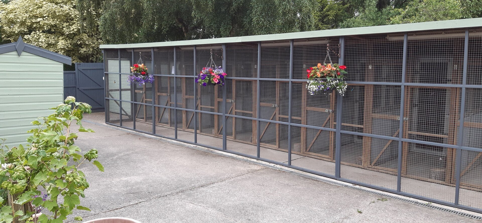 Cattery in North Scarle Lincolnshire