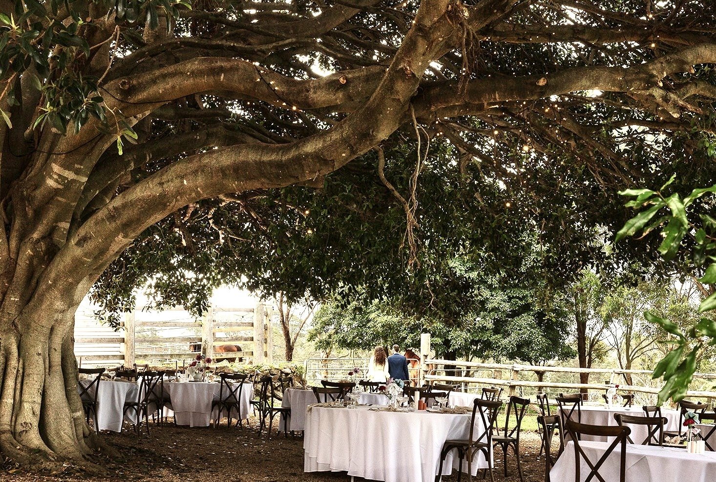 Fig Tree Park Weddings | Luxury Country & Coastal Weddings on the NSW ...