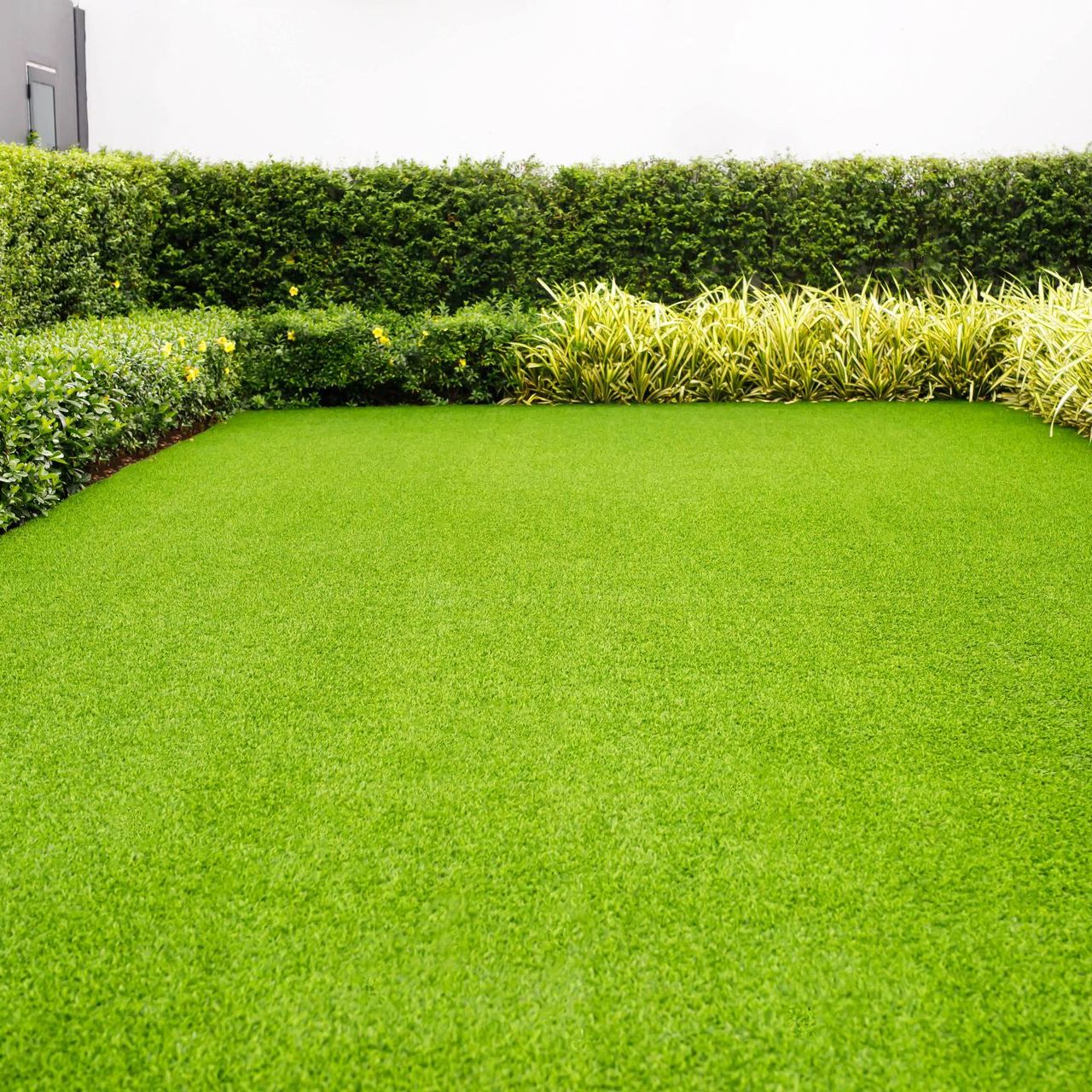 Turf Care | Hamilton, ON | Snowy Owl Services