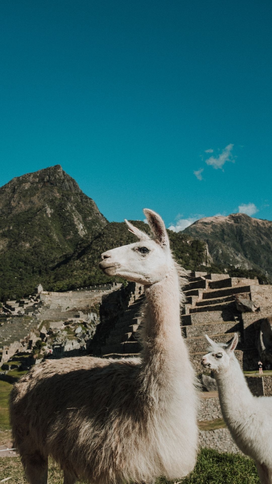 Próximas Expedições | Ana Carms