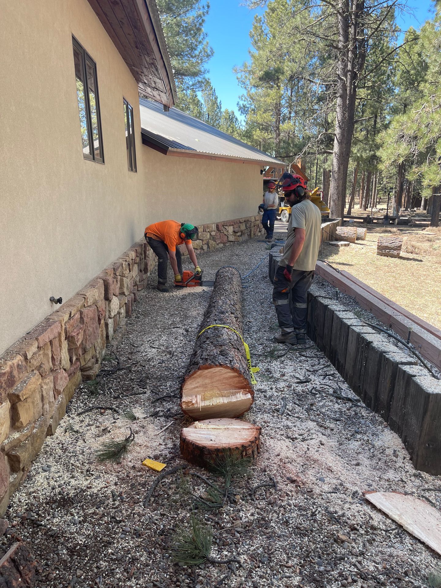 Taos Tree Services - Tree Removal