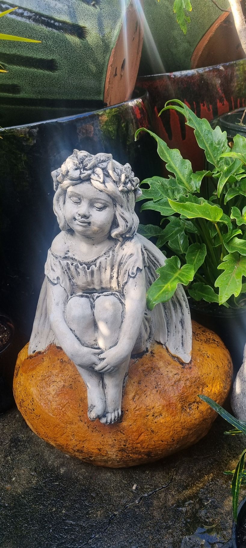 Nursery Retail | Valley Garden Centre, Kempsey