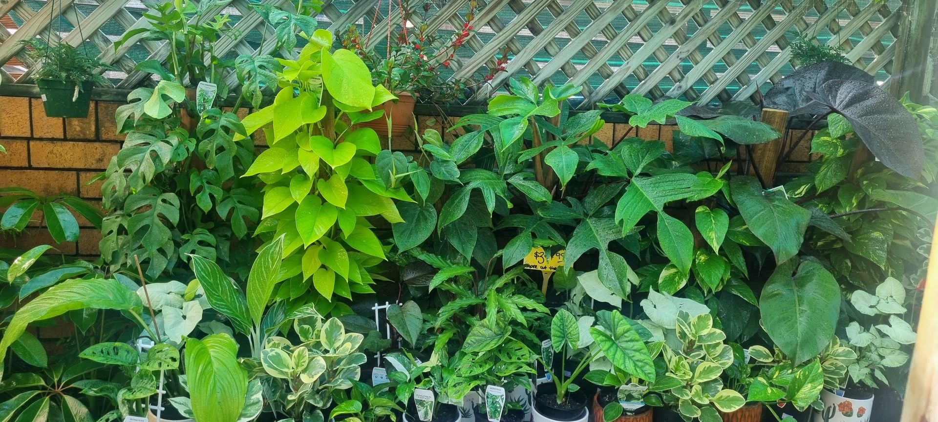 Nursery Retail | Valley Garden Centre, Kempsey