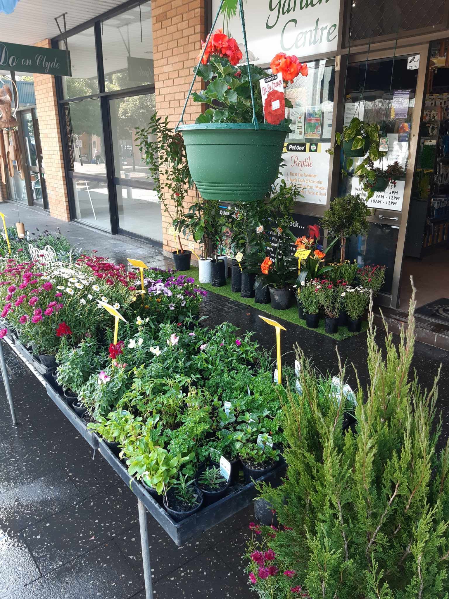 Nursery Retail | Valley Garden Centre, Kempsey