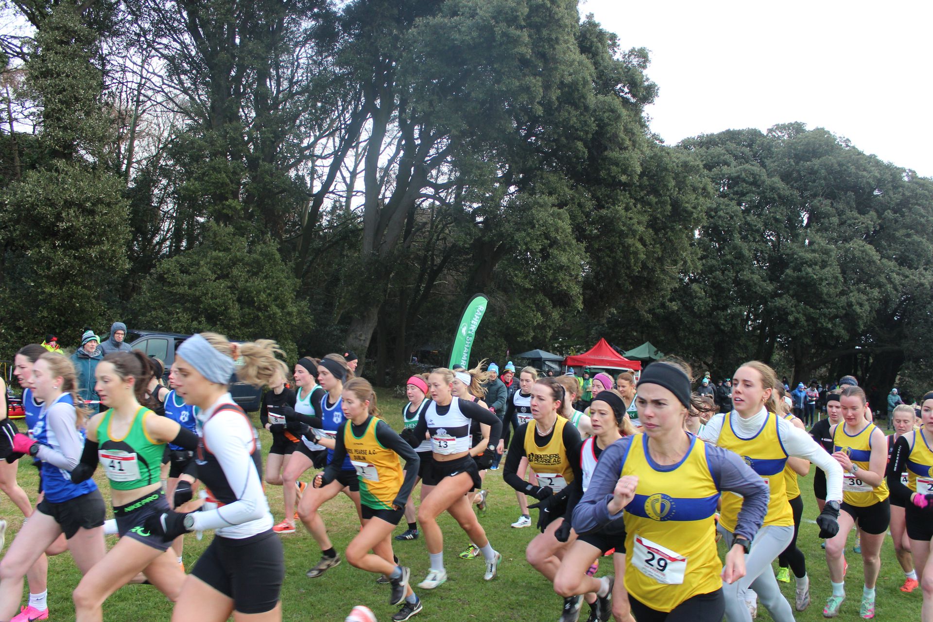 Dublin Masters and Intermediate Cross Country Championships, St Anne's ...