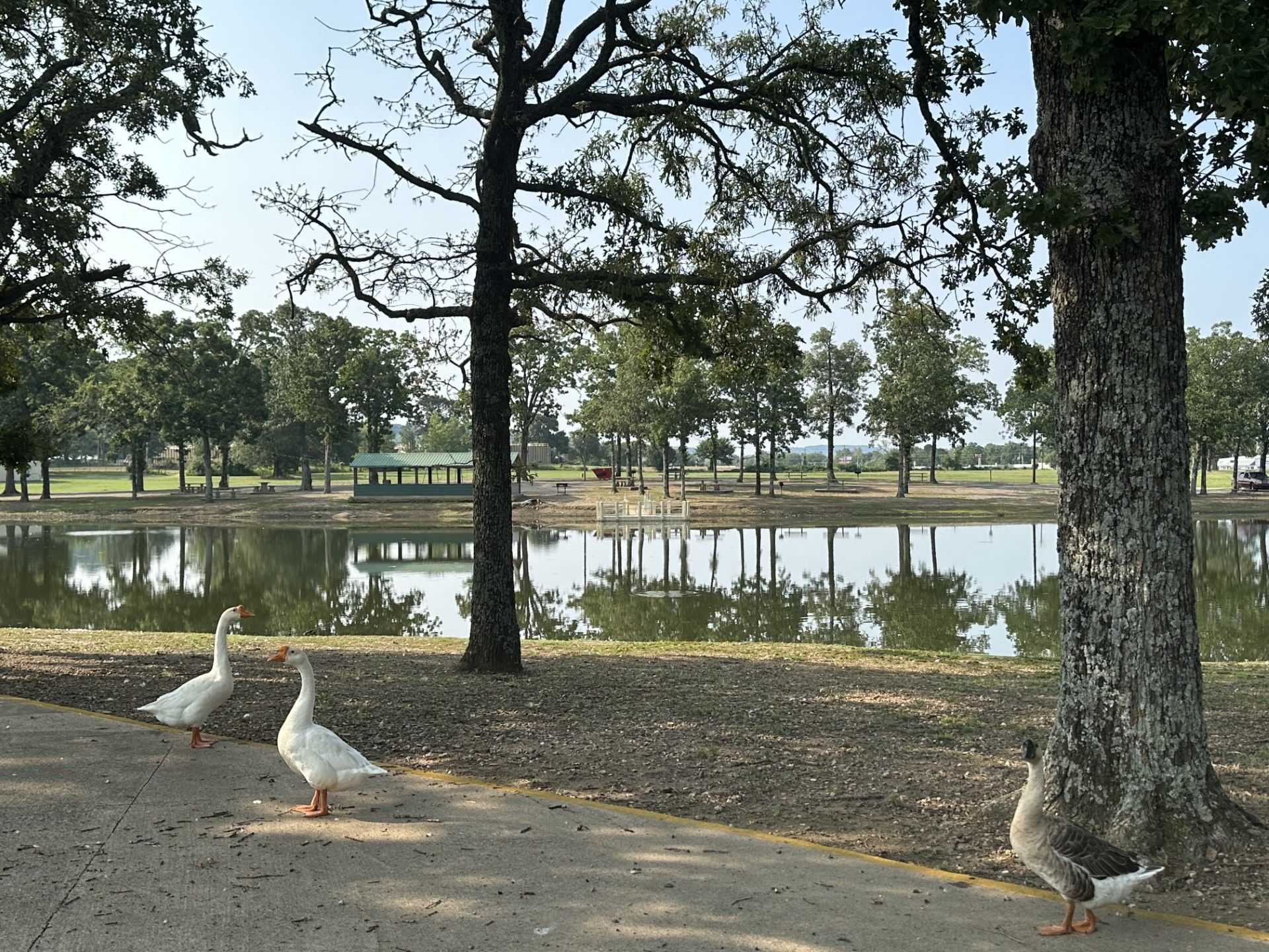 Adair Park