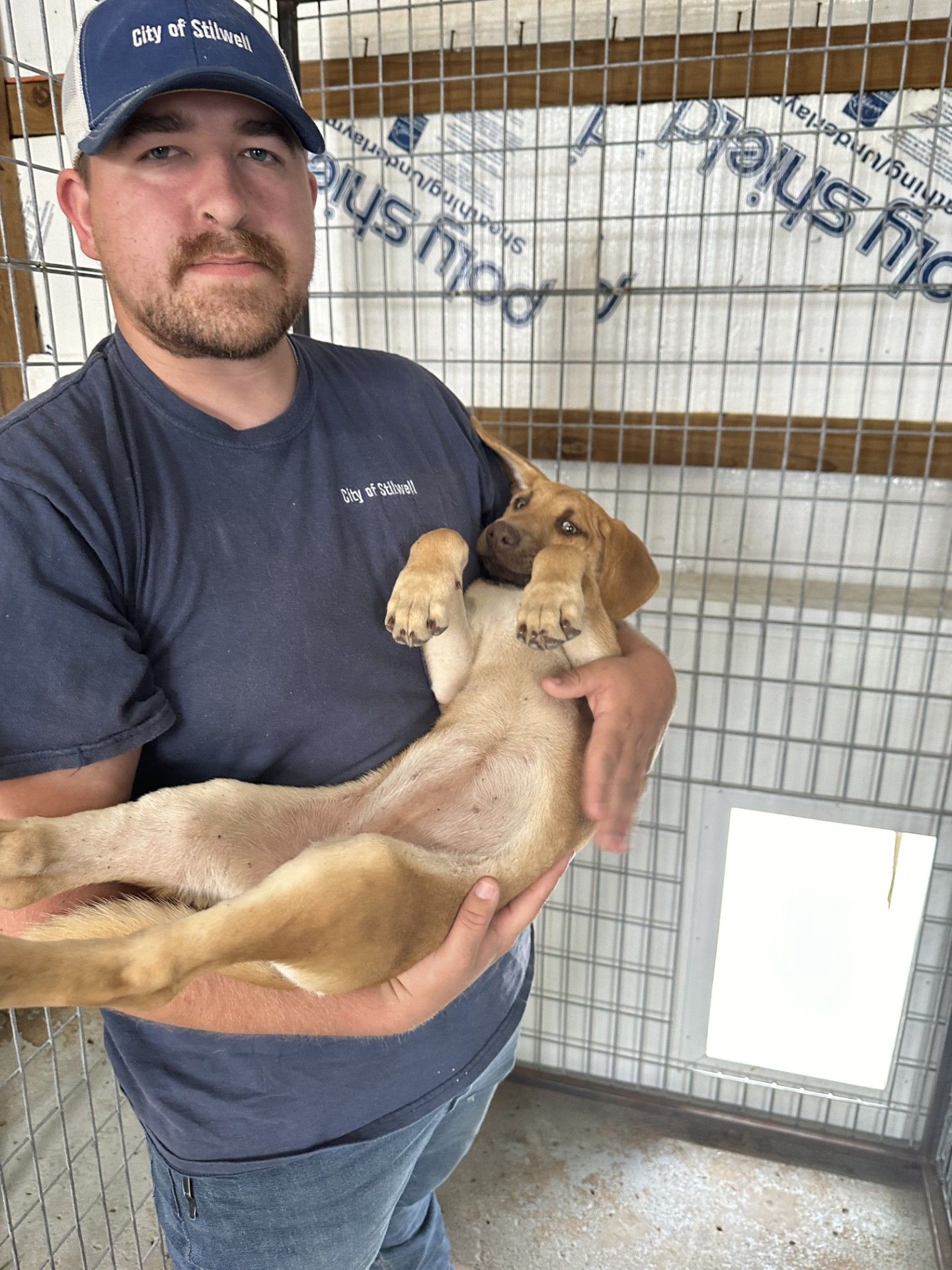 Stilwell Oklahoma animal control