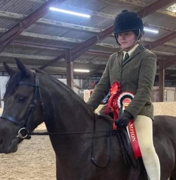 Home [www.fernfieldequestrian.co.uk]