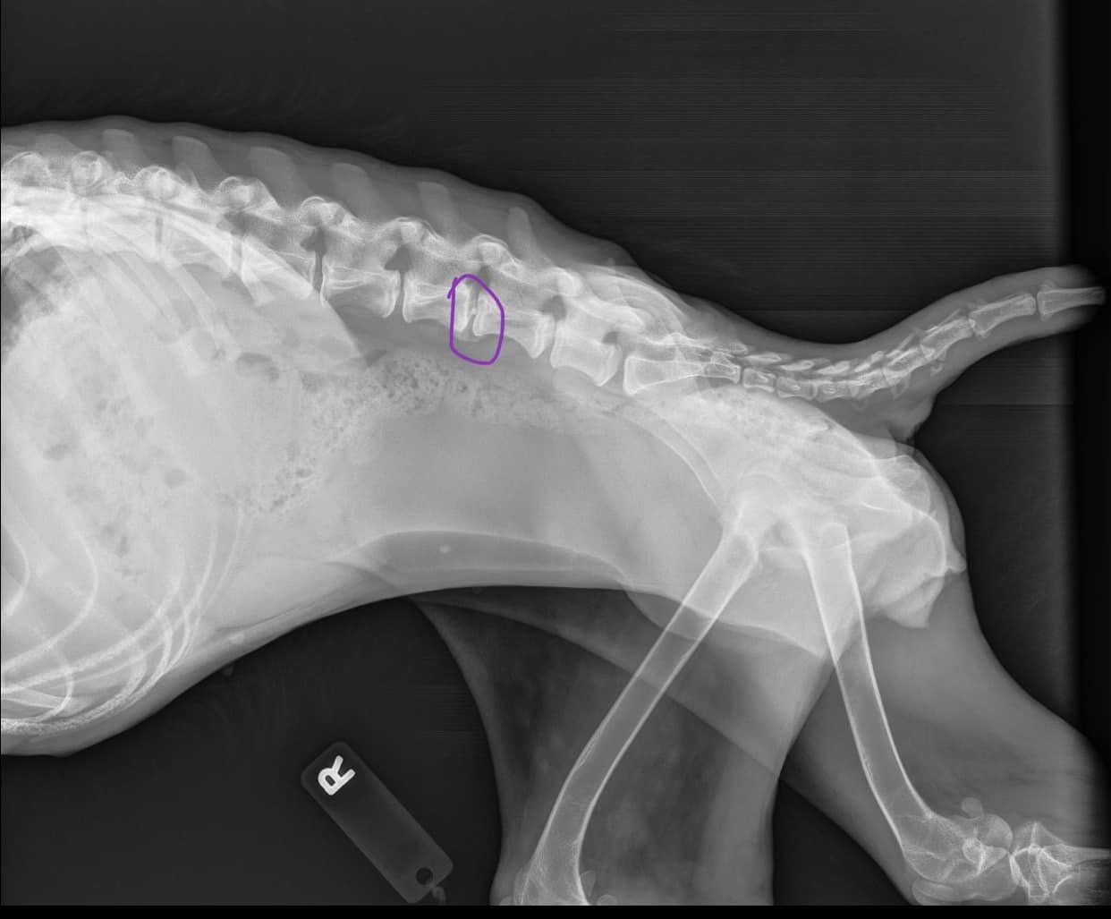 Let's Talk About Aysa | AAAH | Update 9/22/2022