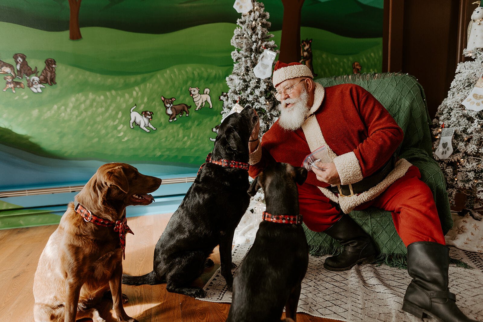 Dianna Nicole | Abby's Angels Photos With Santa 2022