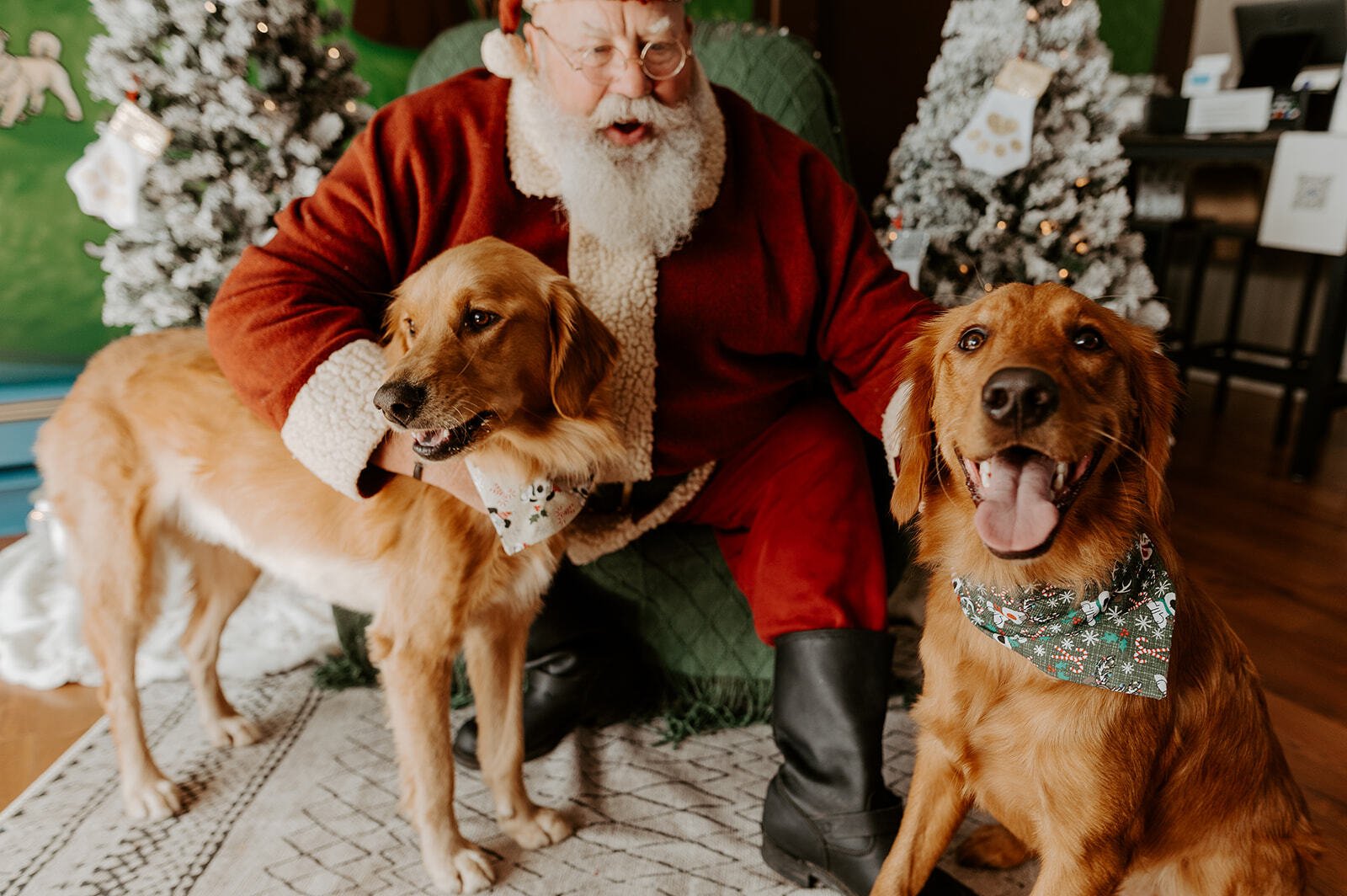 Dianna Nicole | Abby's Angels Photos With Santa 2022