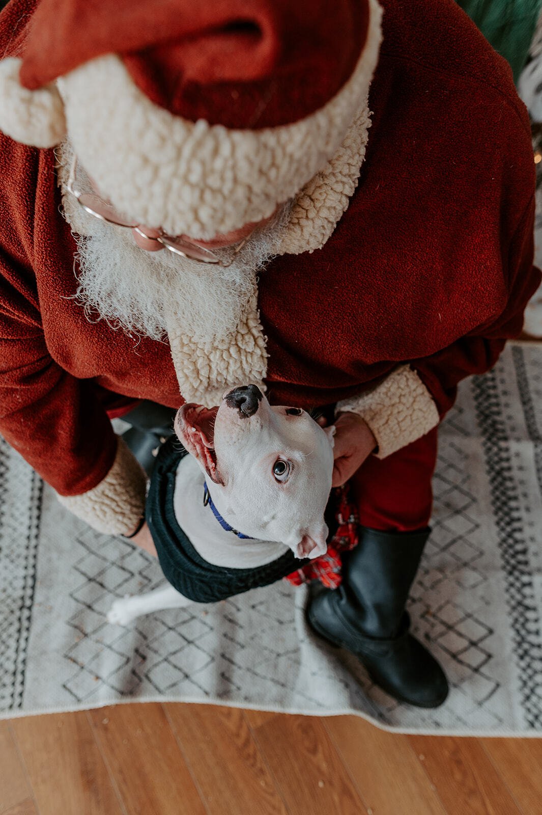 Dianna Nicole | Abby's Angels Photos With Santa 2022