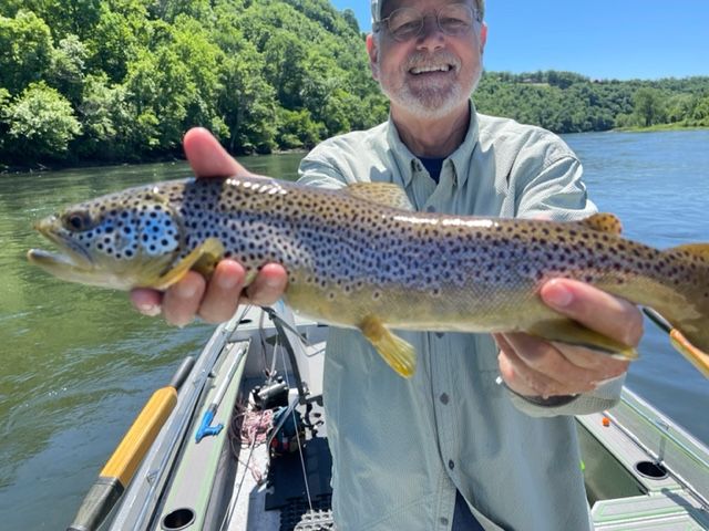 City of Cotter, Arkansas