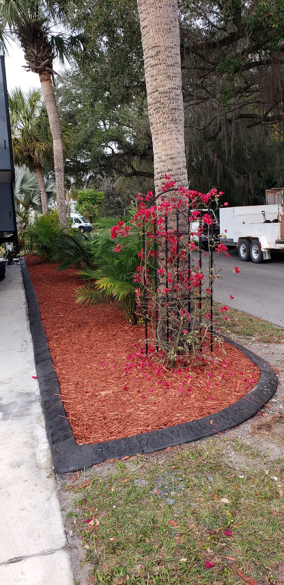 Gator Curbing - Expert Landscape Border Services