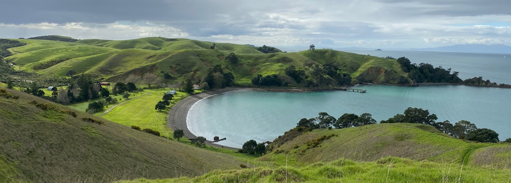Ngāi Tai ki Tāmaki Hauora Survey 2024