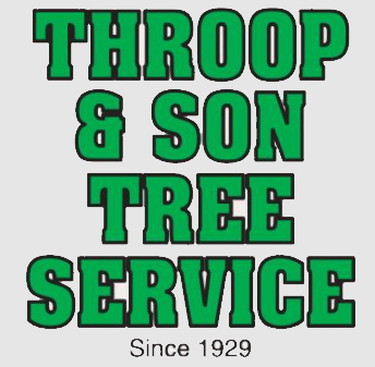 Tree Facts | Springfield, IL | Throop & Son Tree Service