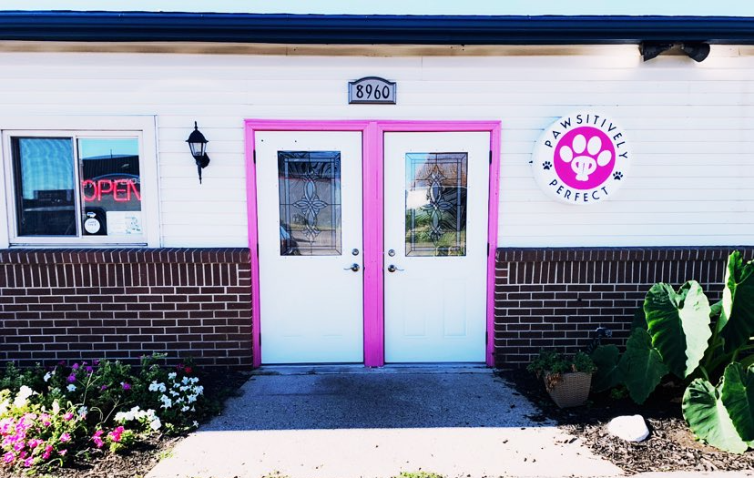 Dog and Cat Grooming | Dayton, OH | Pawsitively Perfect