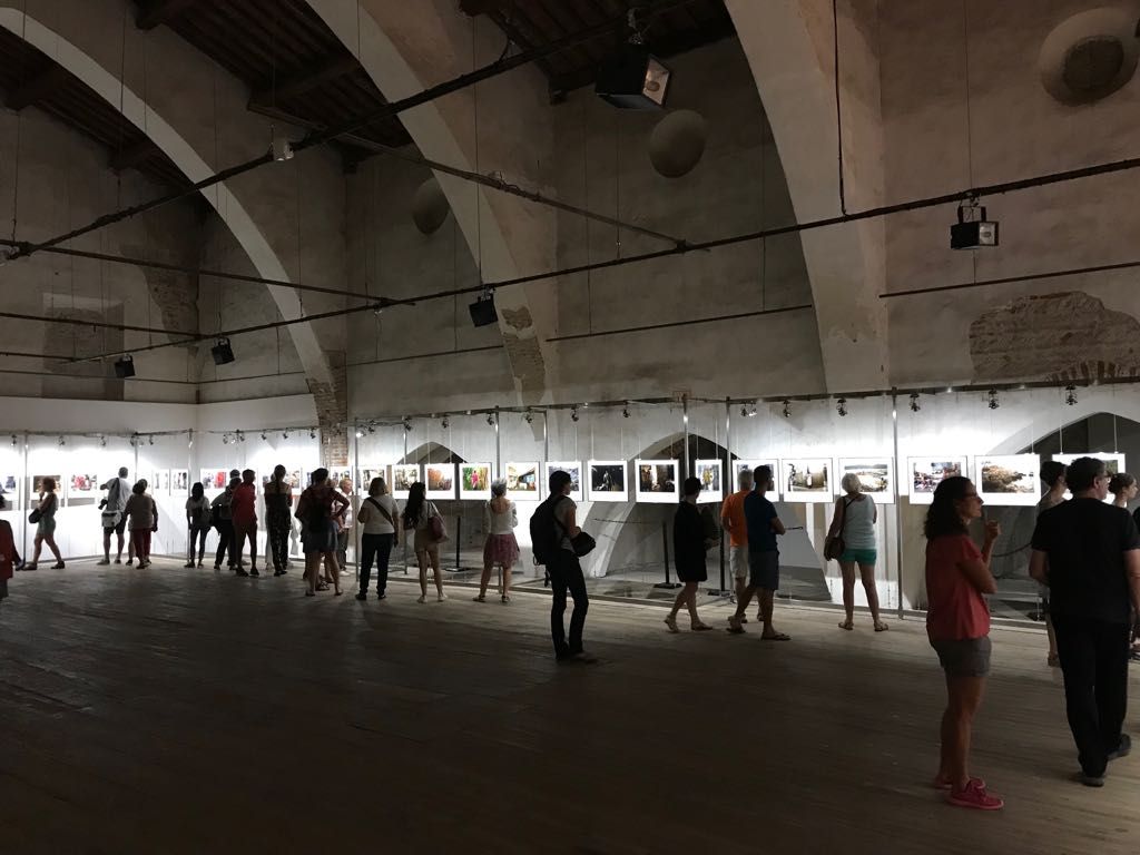 Andrea Bruce Photographer And Educator Education