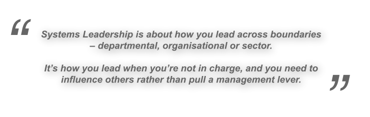 An Introduction to Systems Leadership