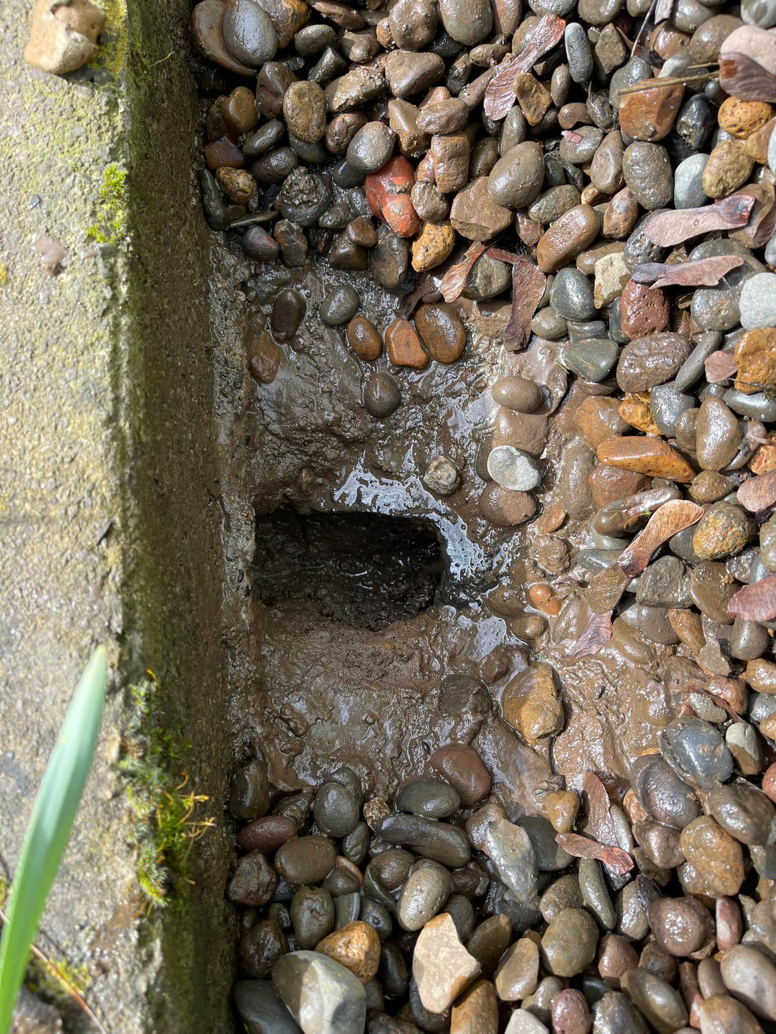 Busy Bee Drain - Top Rated Plumber - Lebanon, Oregon