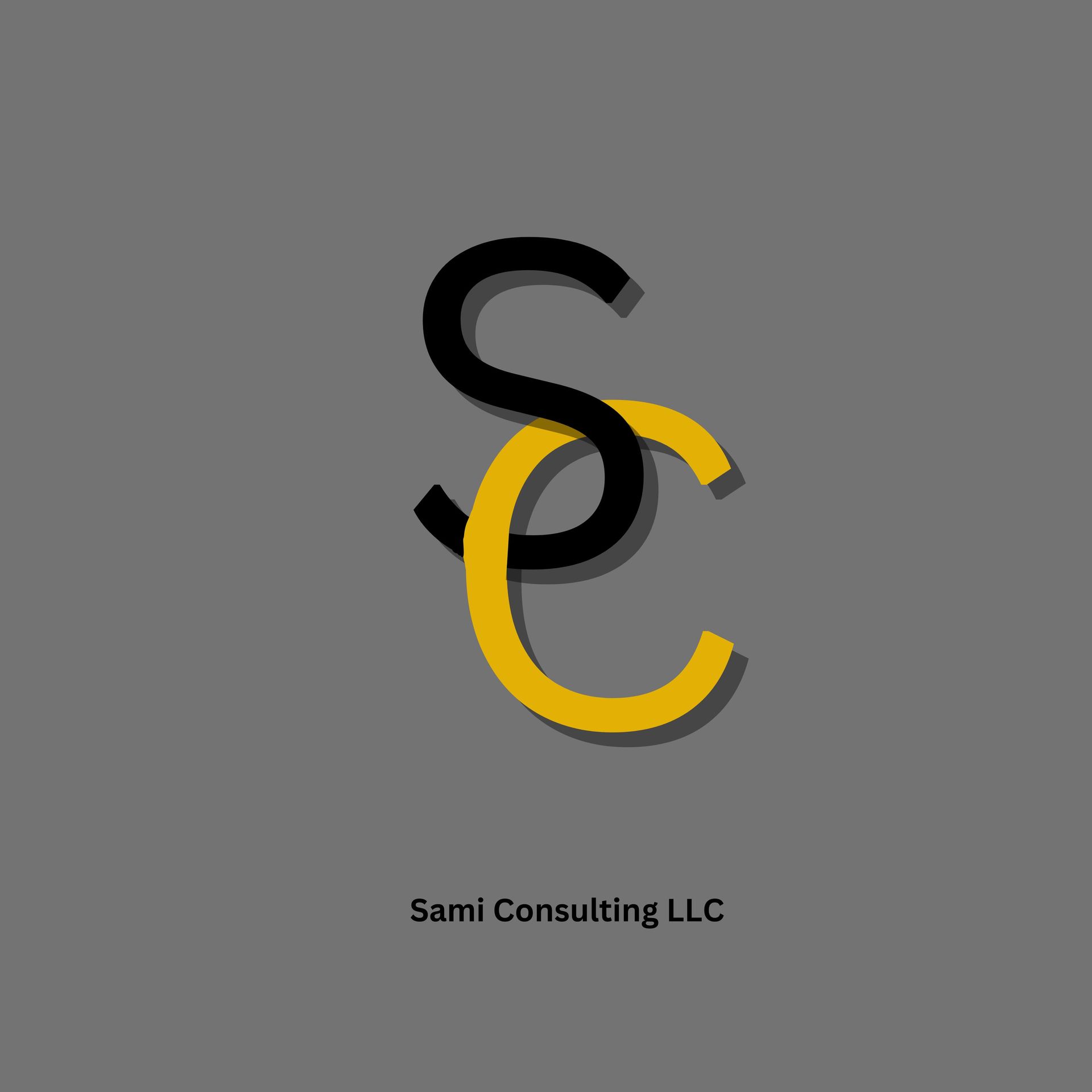 Business Consulting | Sami Consulting LLC | Tampa Bay