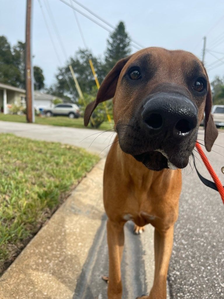 A walk around the block