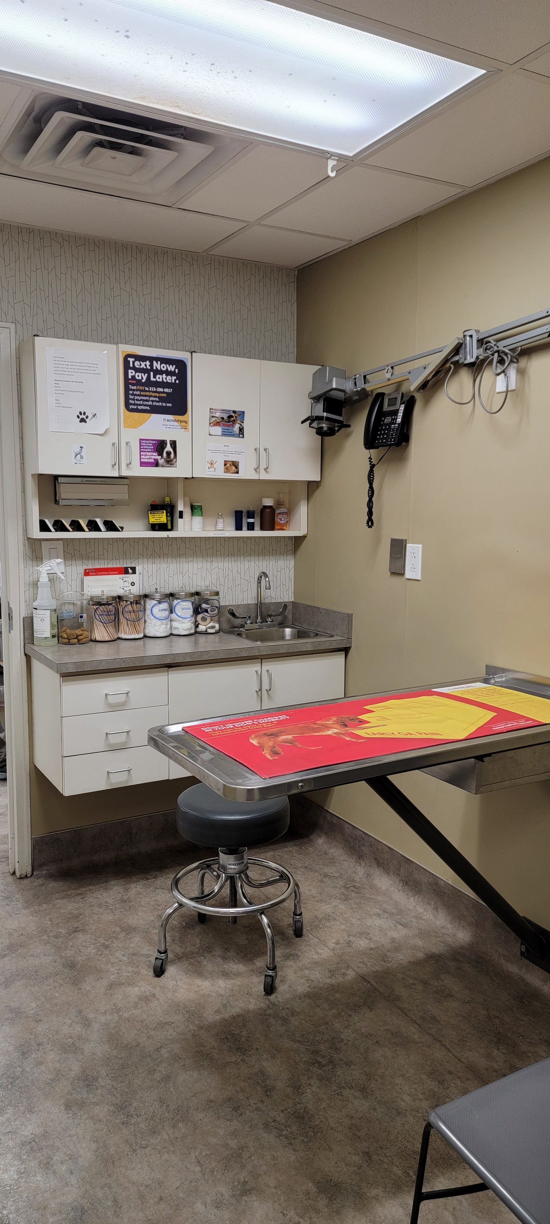 Animal Emergency Care Hospital & Veterinarian Chattanooga TN - Ashland ...