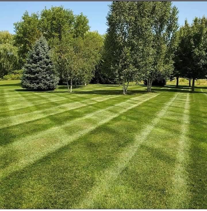 Green Image Lawn & Landscape