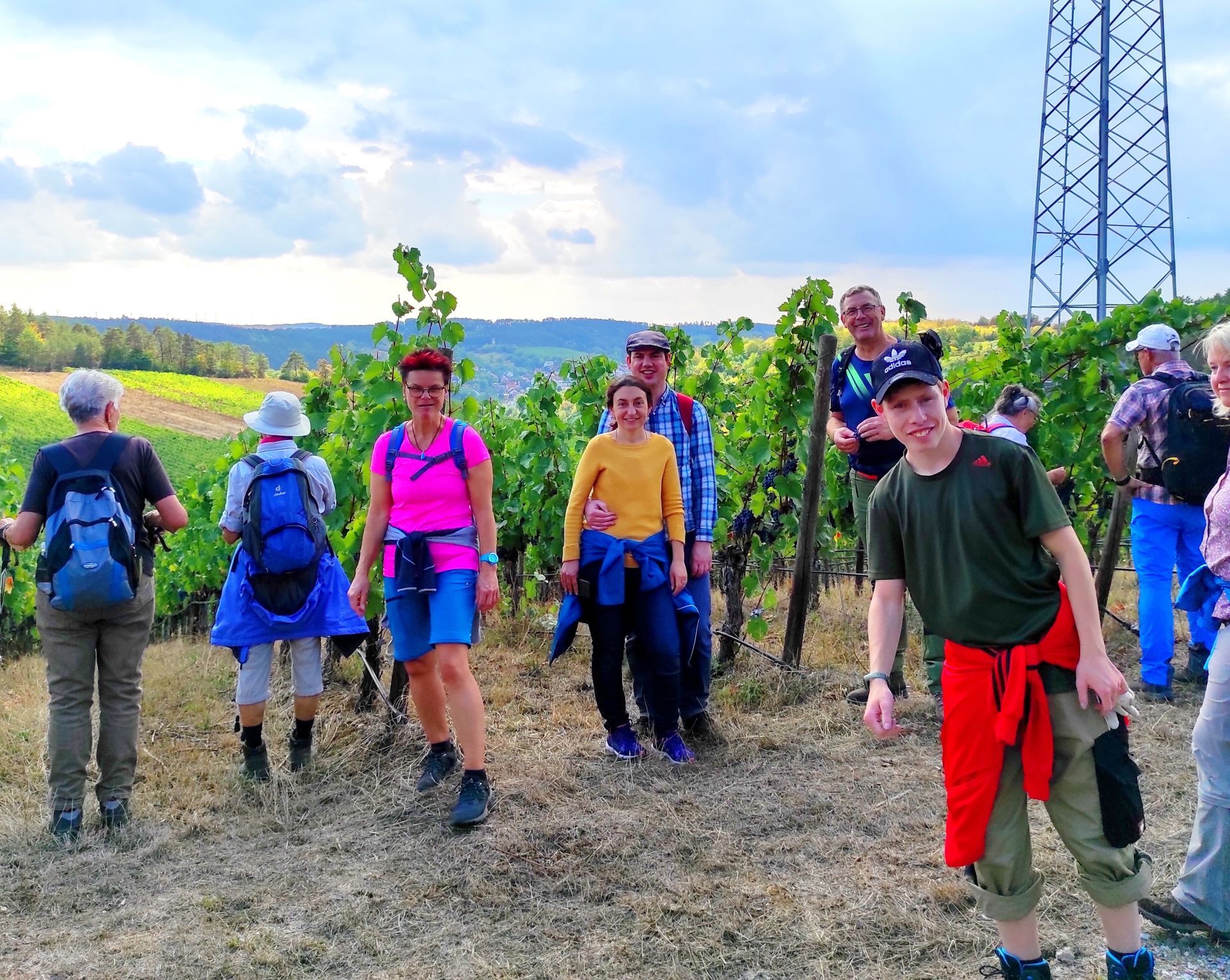 Weinbergwanderung auf dem Homburger Weinlehrpfad