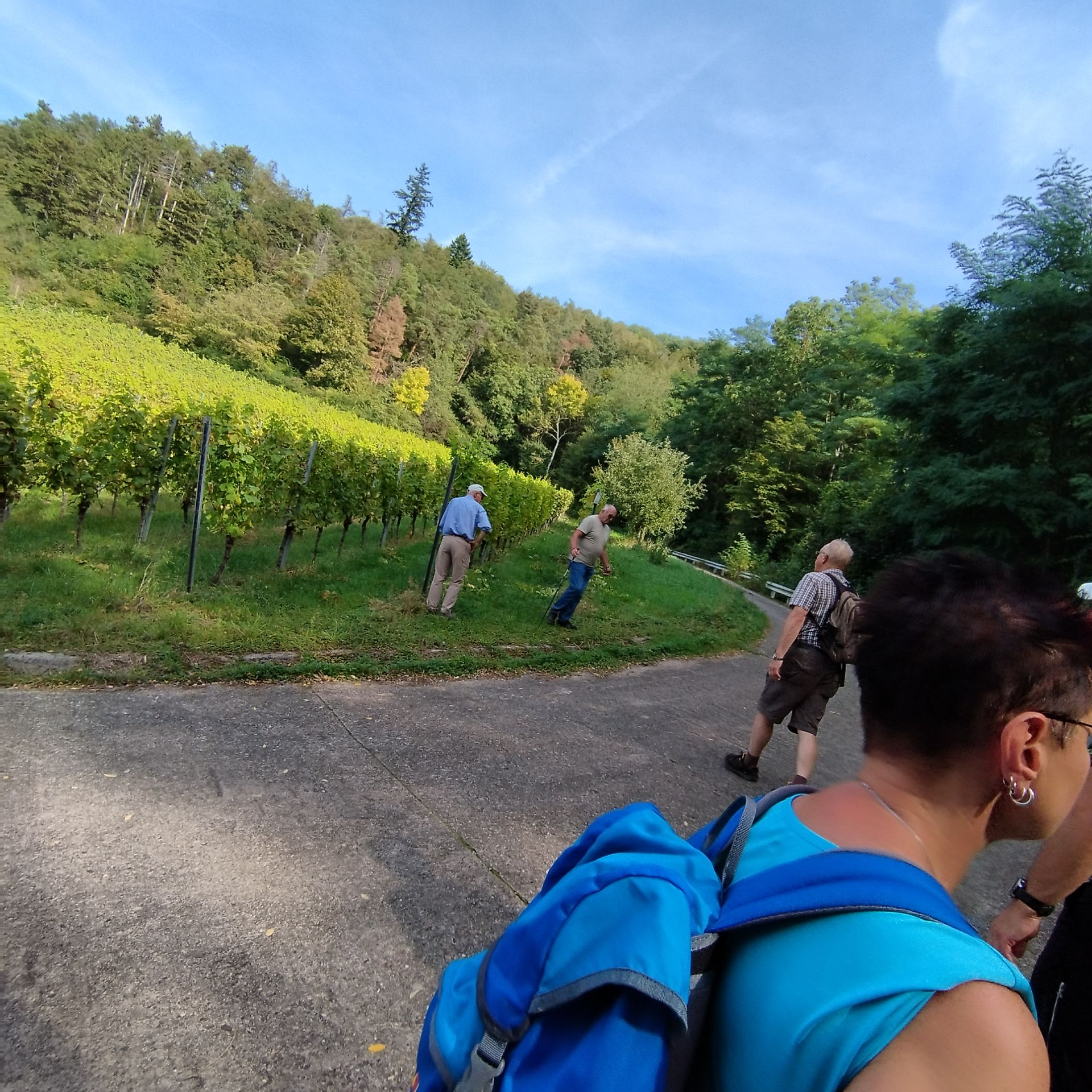 Weinbergwanderung am 22. September 2024 Rödelsee - Iphofen