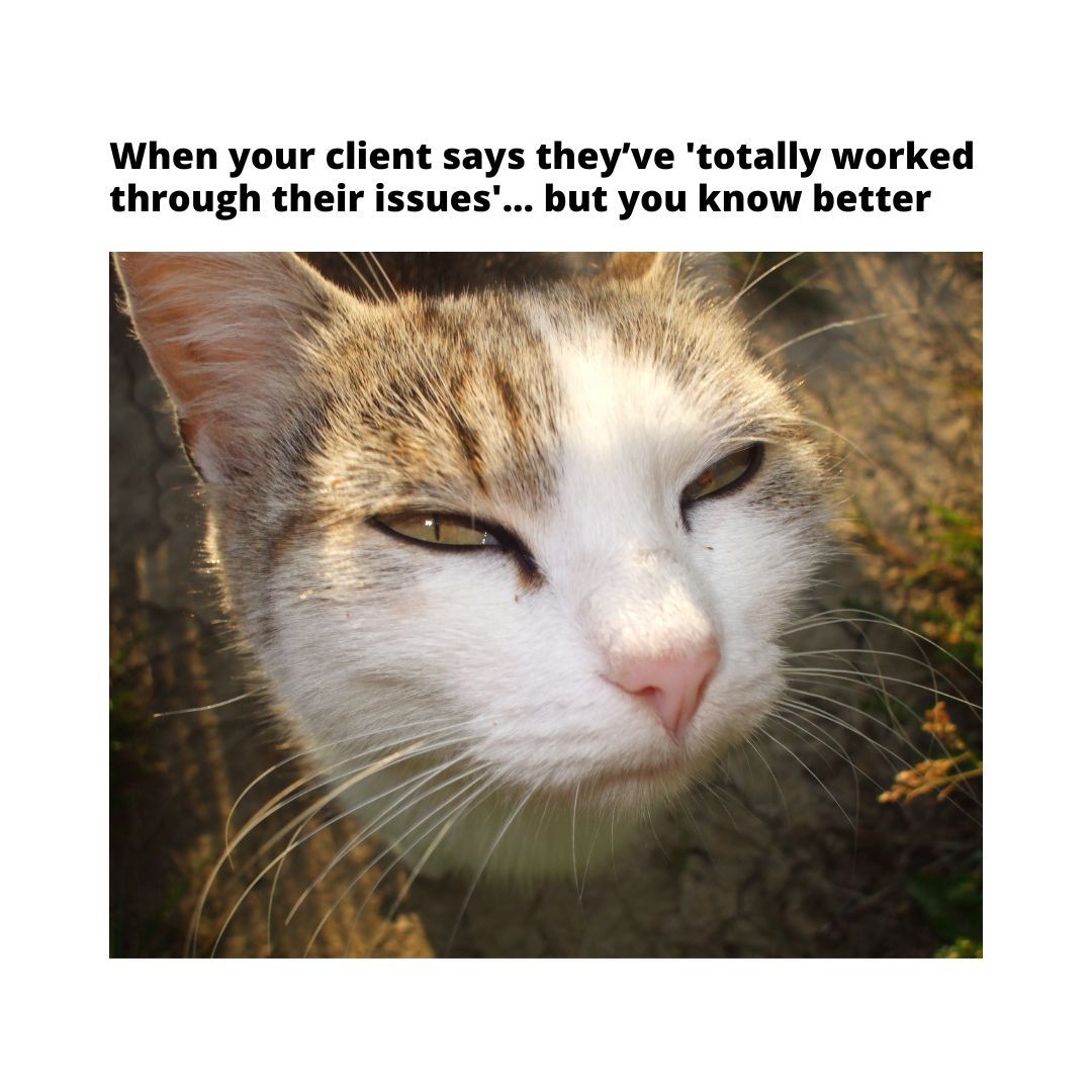 16 memes for therapists and counselors to uplift your days